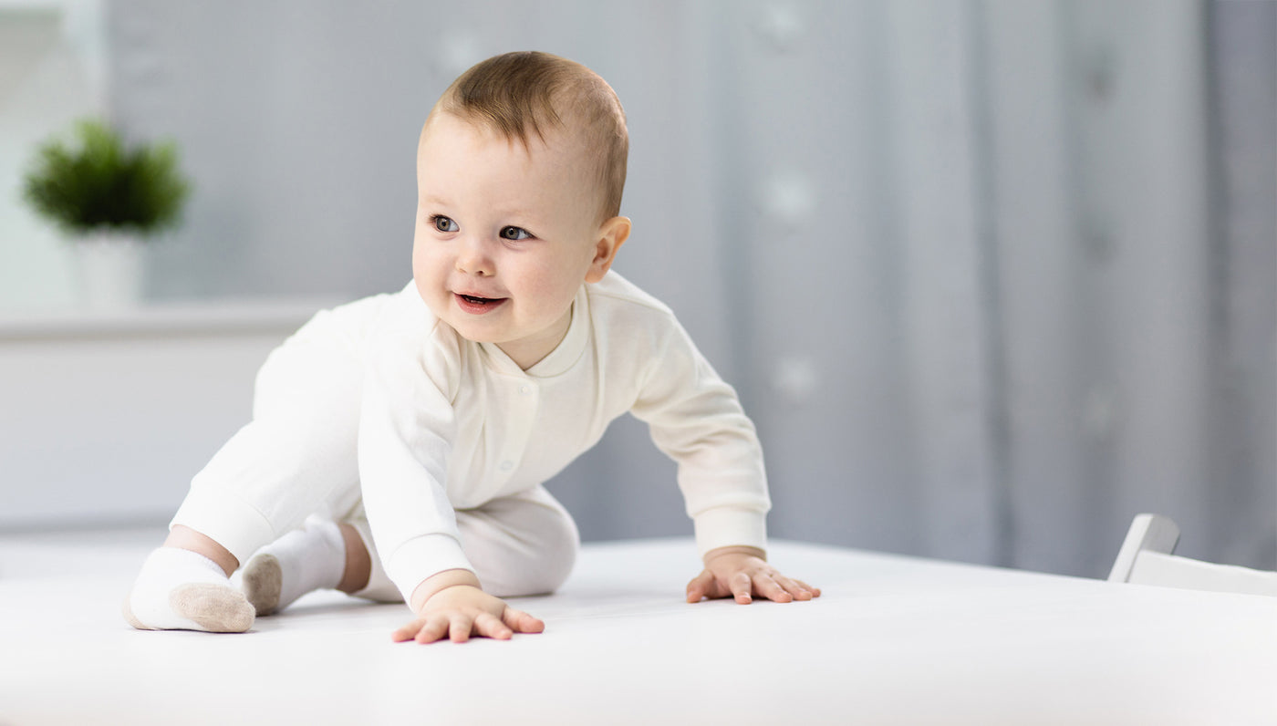 FREE SHIPPING ON ALL ORDERS